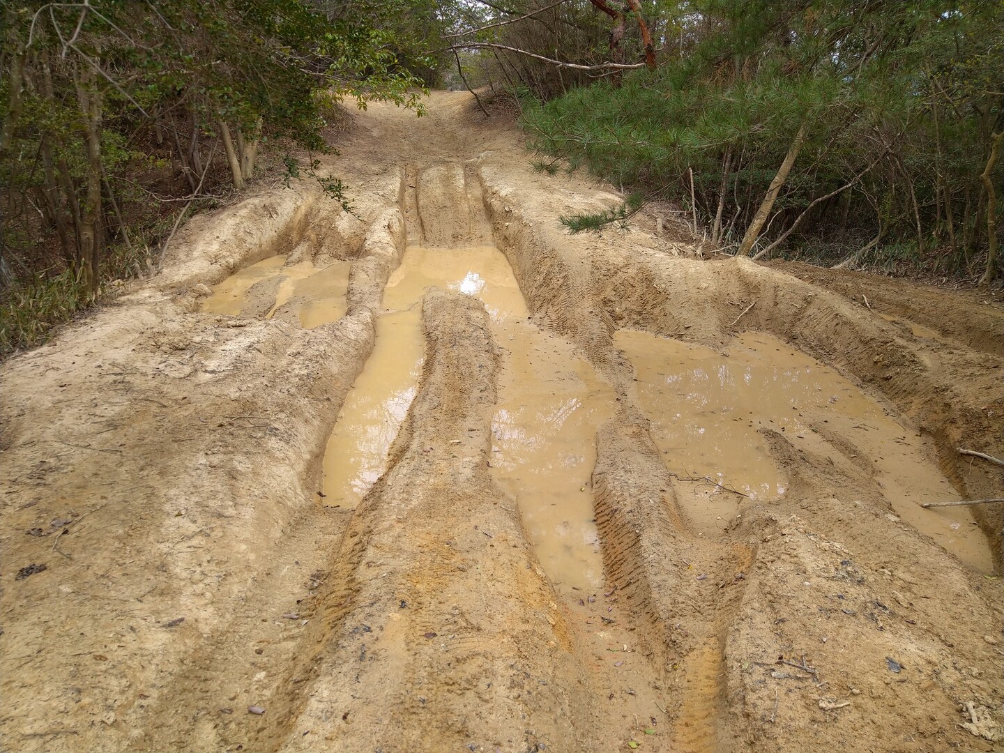 J.Majimaさんの投稿したフィールドメモ | YAMAP / ヤマップ