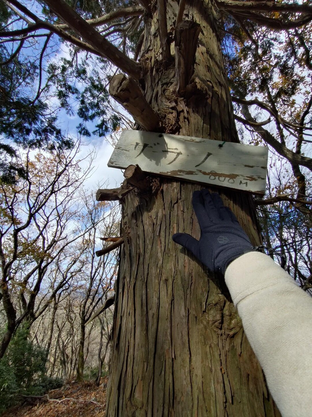 777·ザラノ・高室山 / よーこさんの高室山の活動データ | YAMAP / ヤマップ