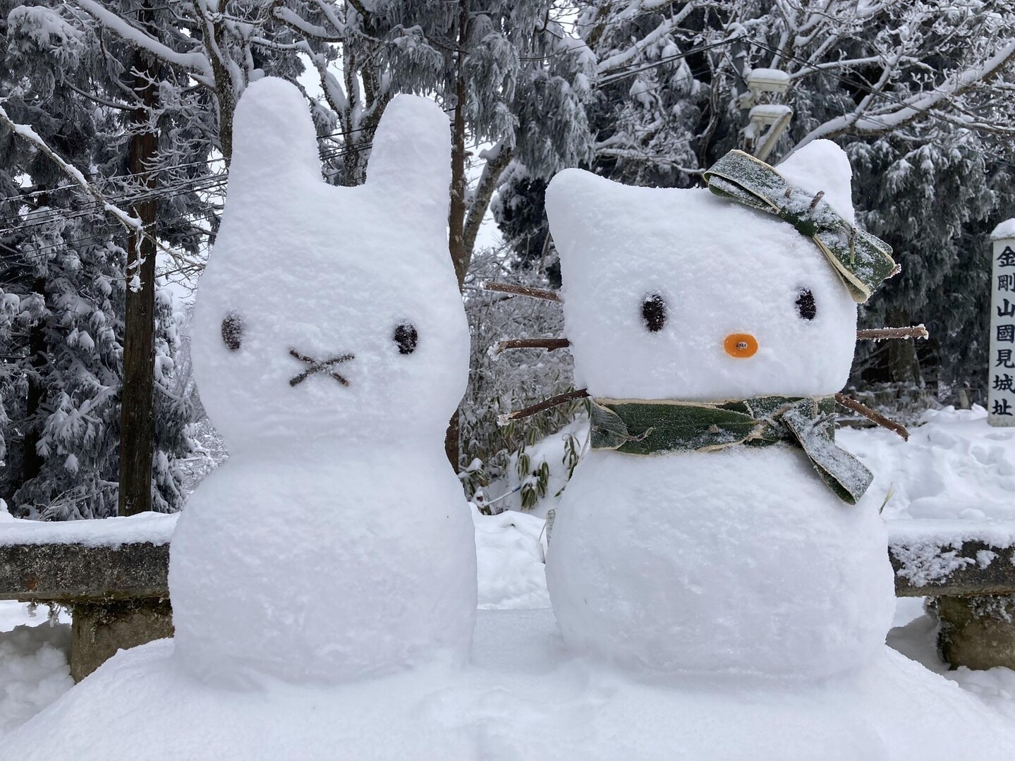 金剛山 雪まつり、手乗りヤマガラ / maecciさんの金剛山・二上山・大和葛城山の活動データ | YAMAP / ヤマップ