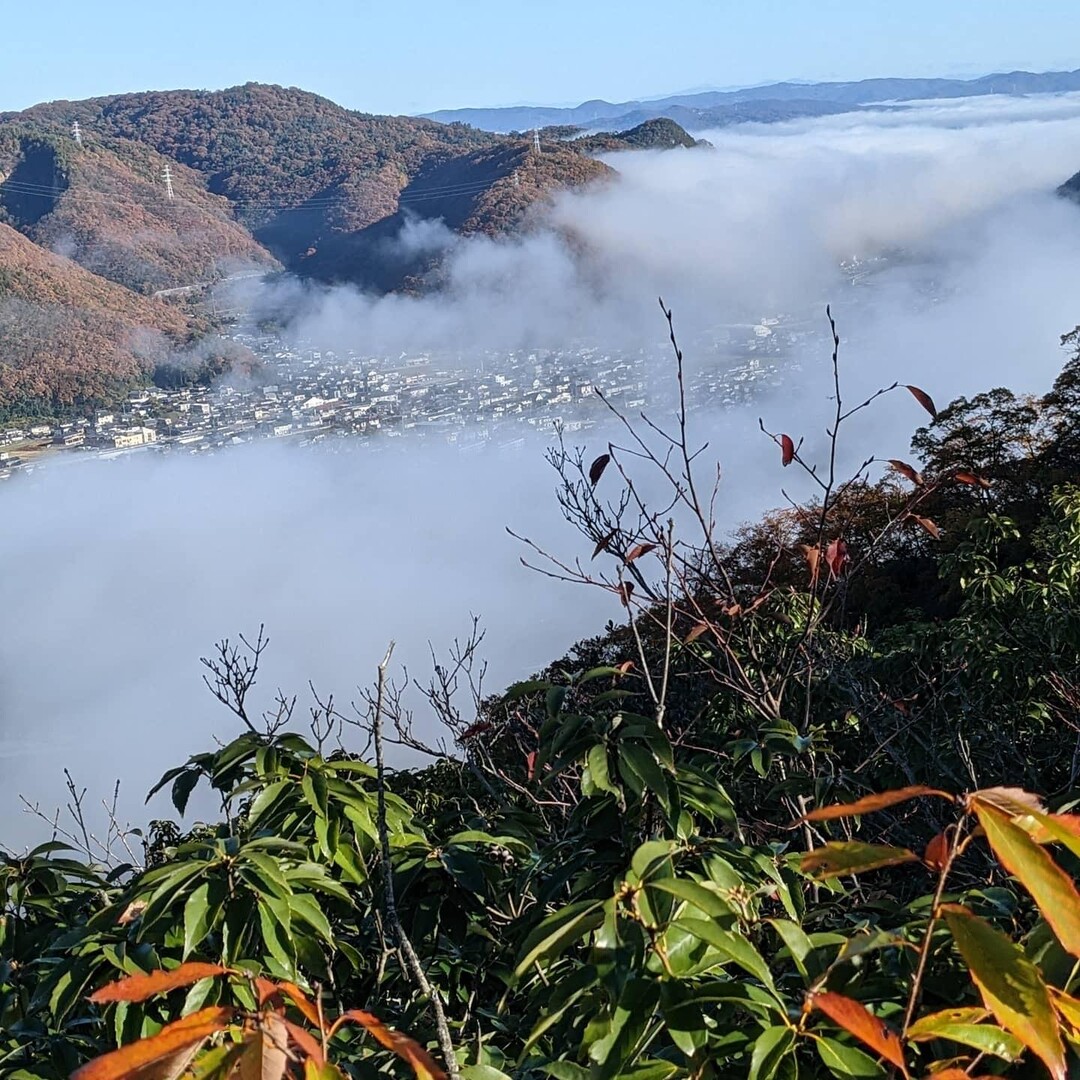 2022.11.29(火) 00:54 / ホタルさんのモーメント | YAMAP / ヤマップ