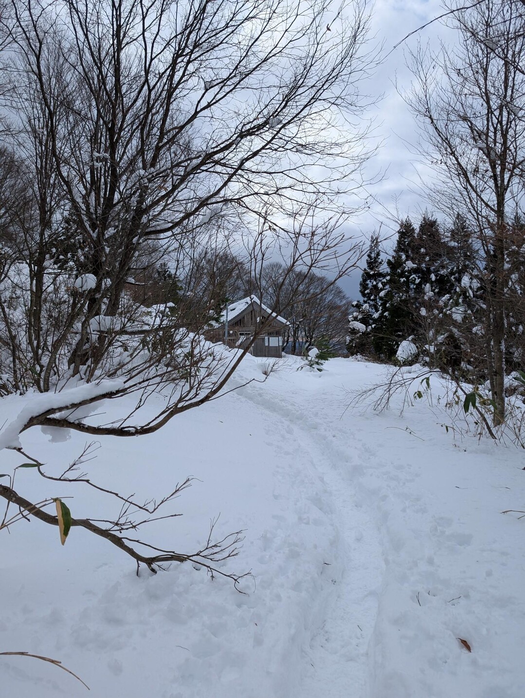 日野山 荒谷コース / ryuji_taketan18さんの日野山の活動データ | YAMAP / ヤマップ