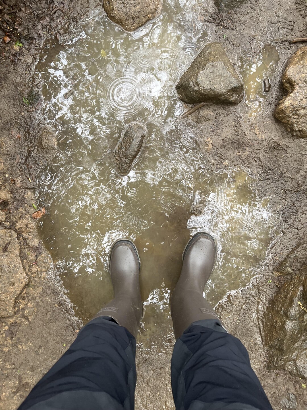 長靴で筑波山（女体山）／ Mt. Tsukuba (in the rain wearing new rubber boots) / Tobyさんの筑波山の活動データ | YAMAP / ヤマップ