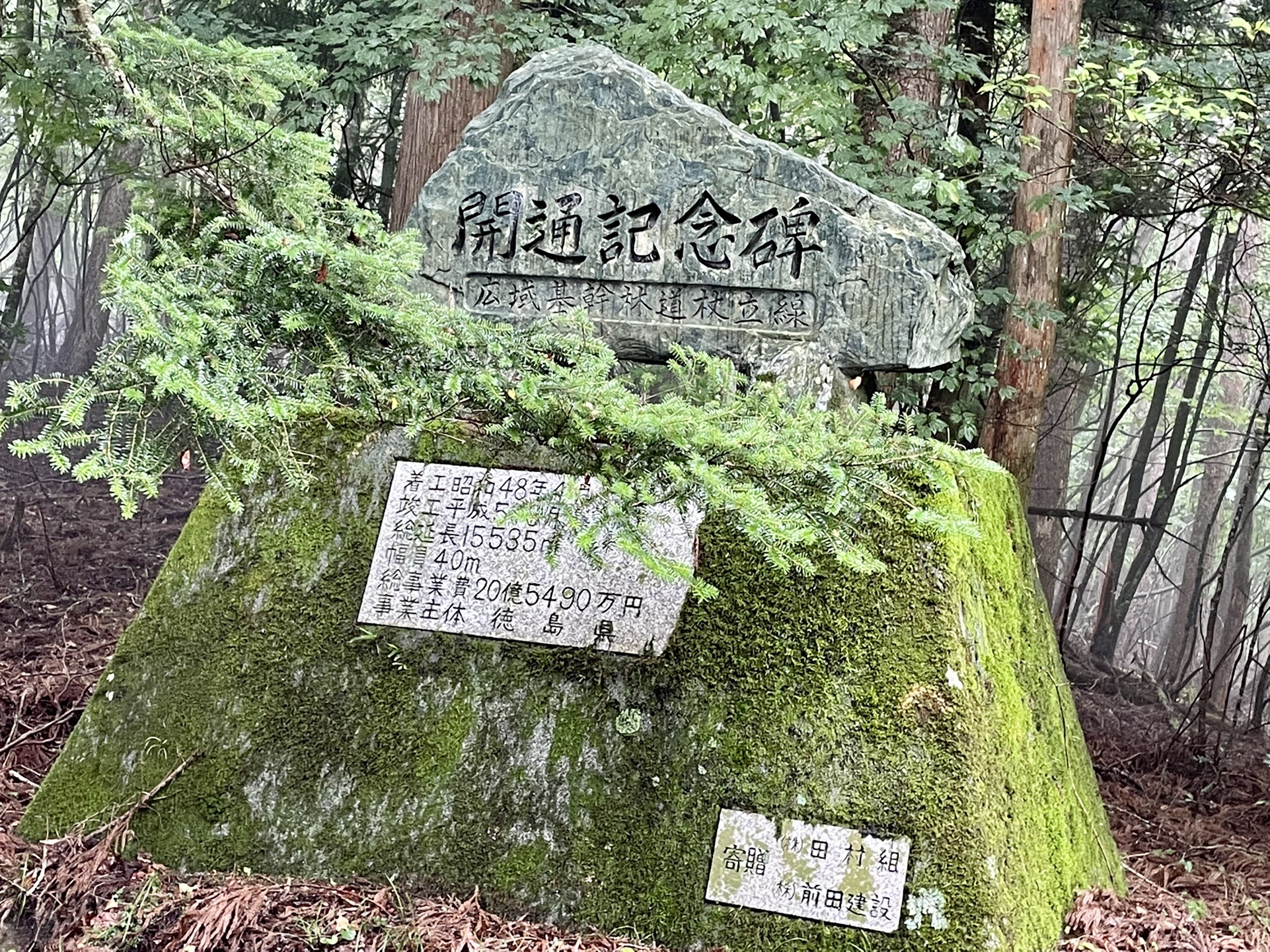 杖立峠・正善山・綱付山 / 鉄塔一筆書さんの八面山の活動データ | YAMAP / ヤマップ