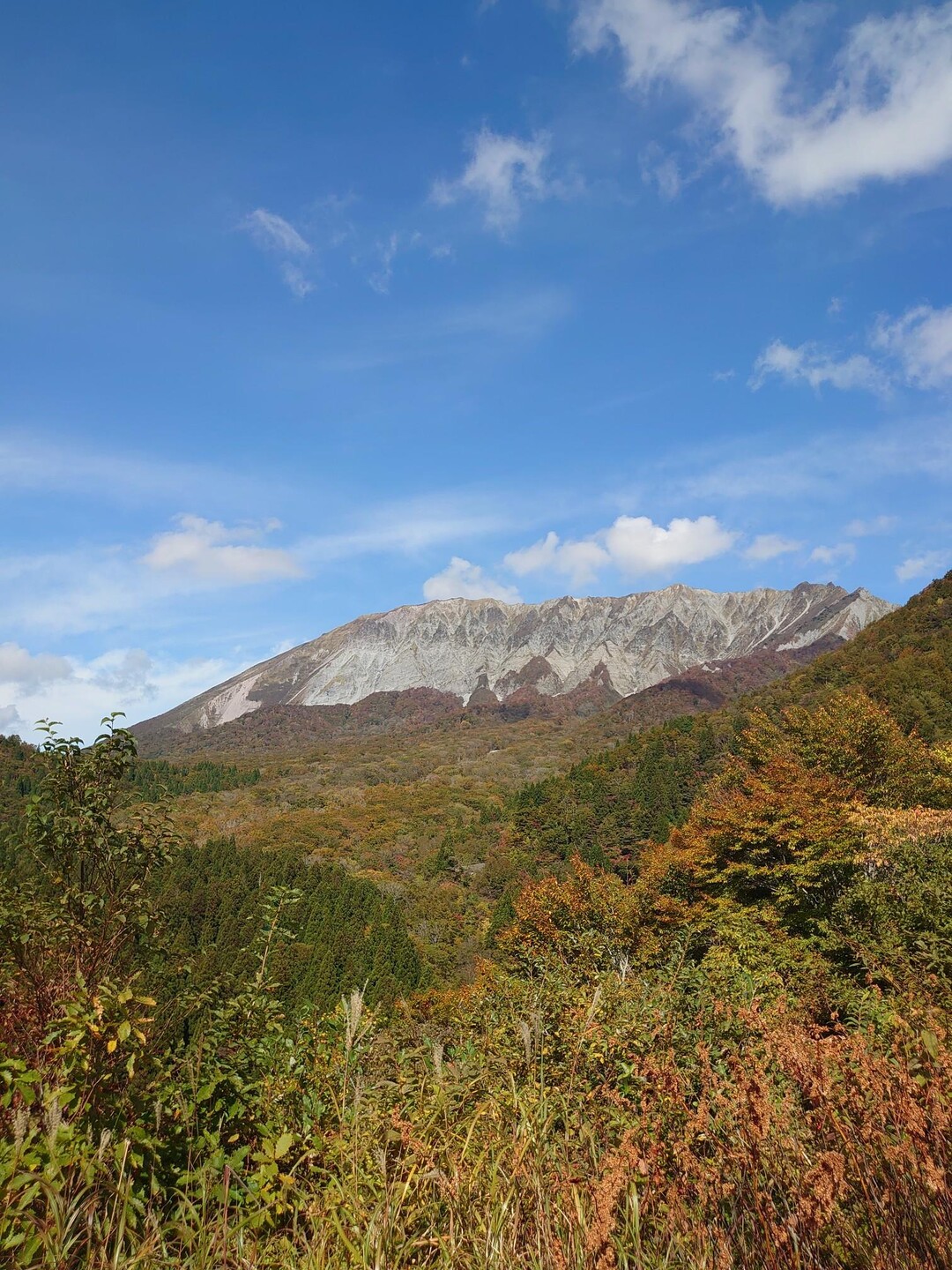 今日は大山登らず、麓の紅葉チェック🍁や... / Sarahさんのモーメント | YAMAP / ヤマップ