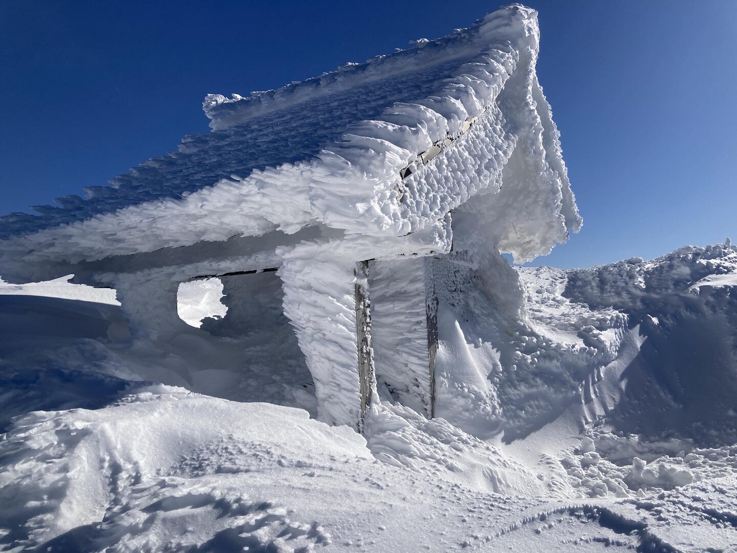 荒島岳 / mt.take4さんの荒島岳の活動データ | YAMAP / ヤマップ