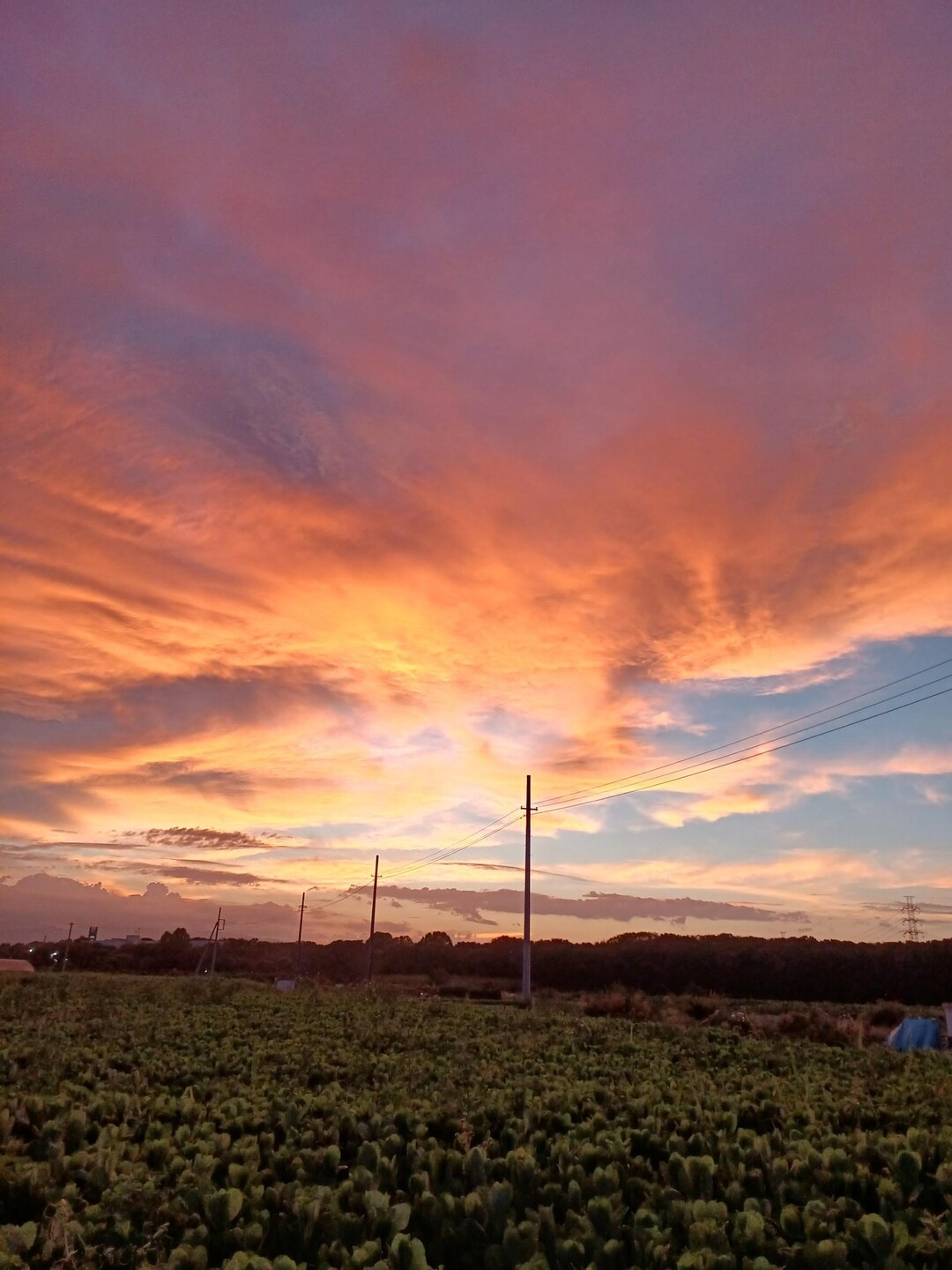 今日は夕焼けが 綺麗 でした😊 / spesさんのモーメント | YAMAP / ヤマップ