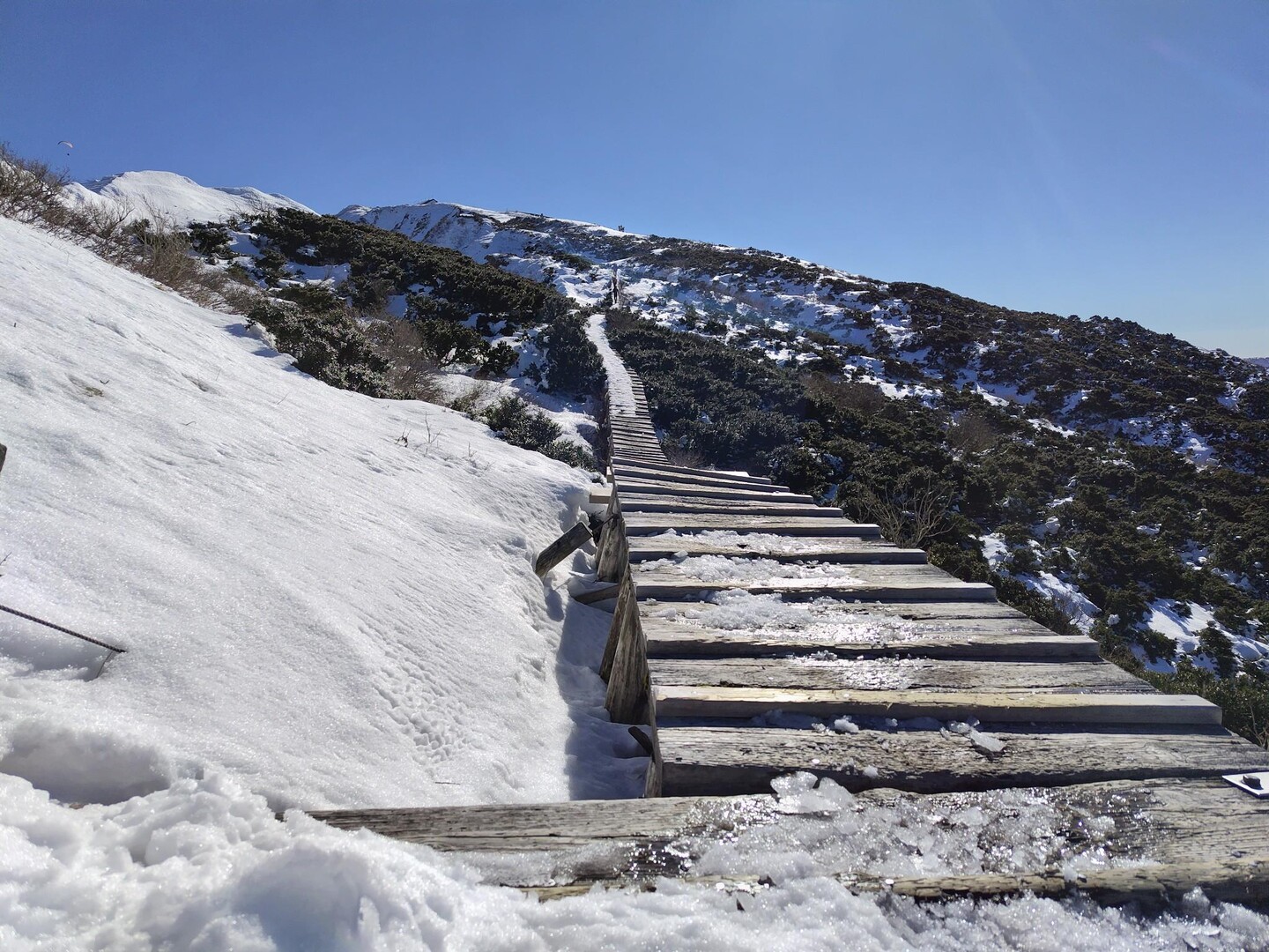 大山（弥山） / AKIKOさんの大山・甲ヶ山・野田ヶ山の活動データ | YAMAP / ヤマップ
