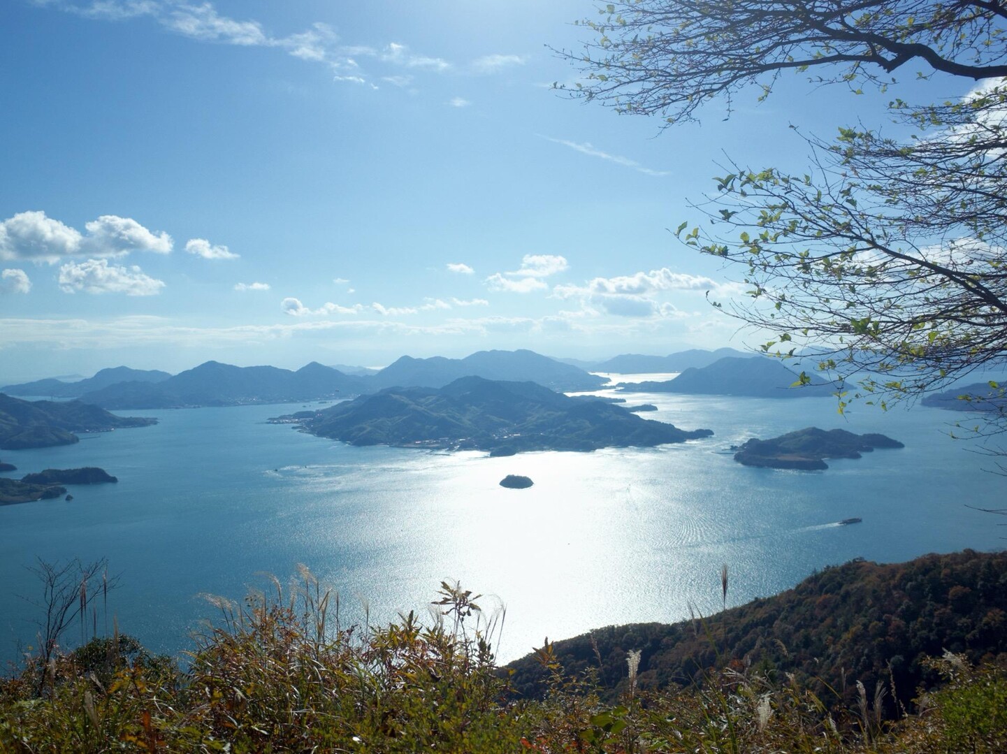 見晴らし最高🎶みはらし連山⛰象山・米田山・大平山・鉢ヶ峰・鳴滝山 / sayaさんの筆影山・葉田竜王山 の活動データ | YAMAP / ヤマップ