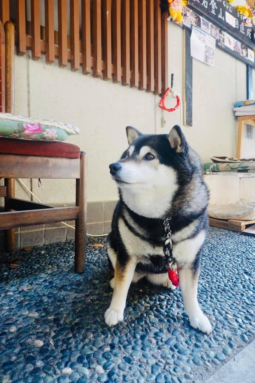 愛宕山 / komariさんの愛宕山・三頭山・朝日峯の活動データ | YAMAP / ヤマップ