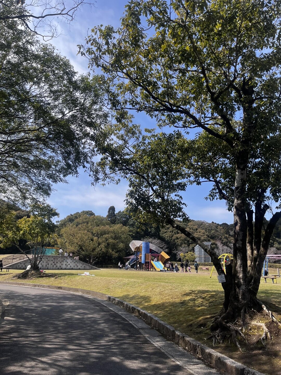 2024-03-10/986☀️69/365 / たま⭐️さんのウォーキングの活動データ | YAMAP / ヤマップ