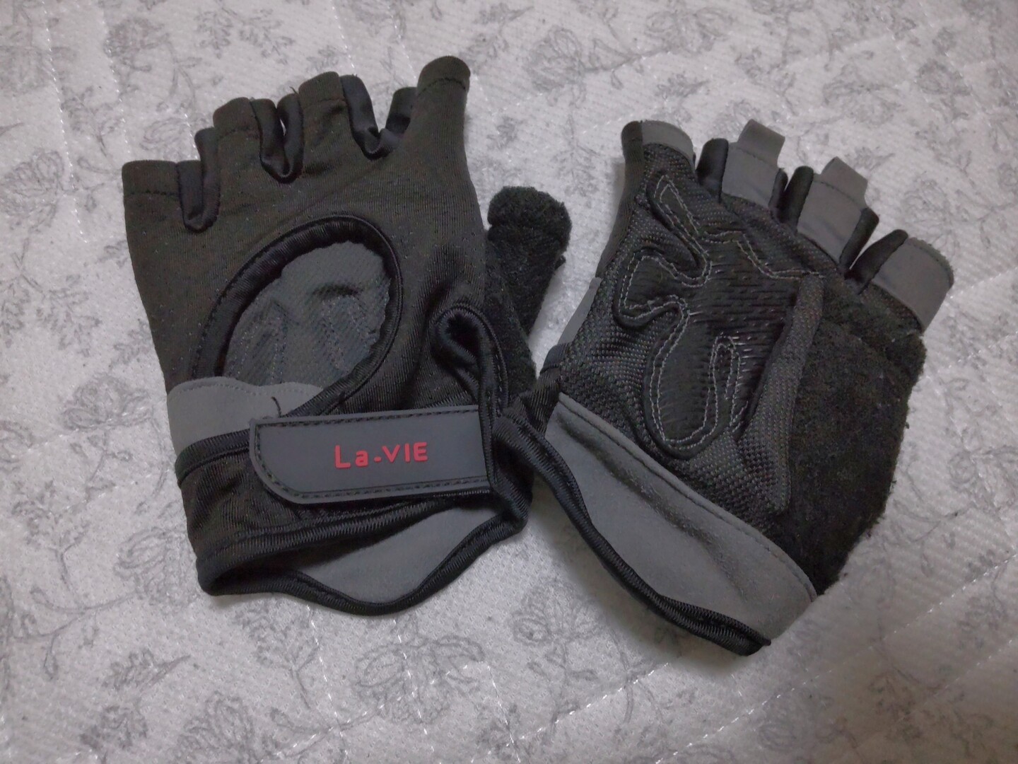 OKは タルの中をのぞきこんだ。 なんと... / OKさんのモーメント | YAMAP / ヤマップ