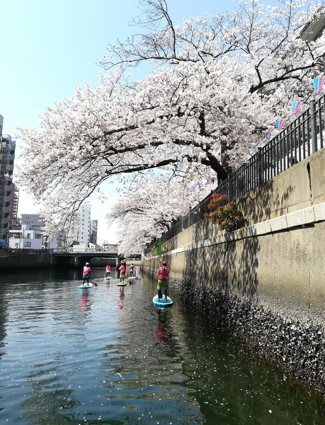 最近暑いせいかもしれないけれど、人の投稿... / Takao@ULさんのモーメント | YAMAP / ヤマップ