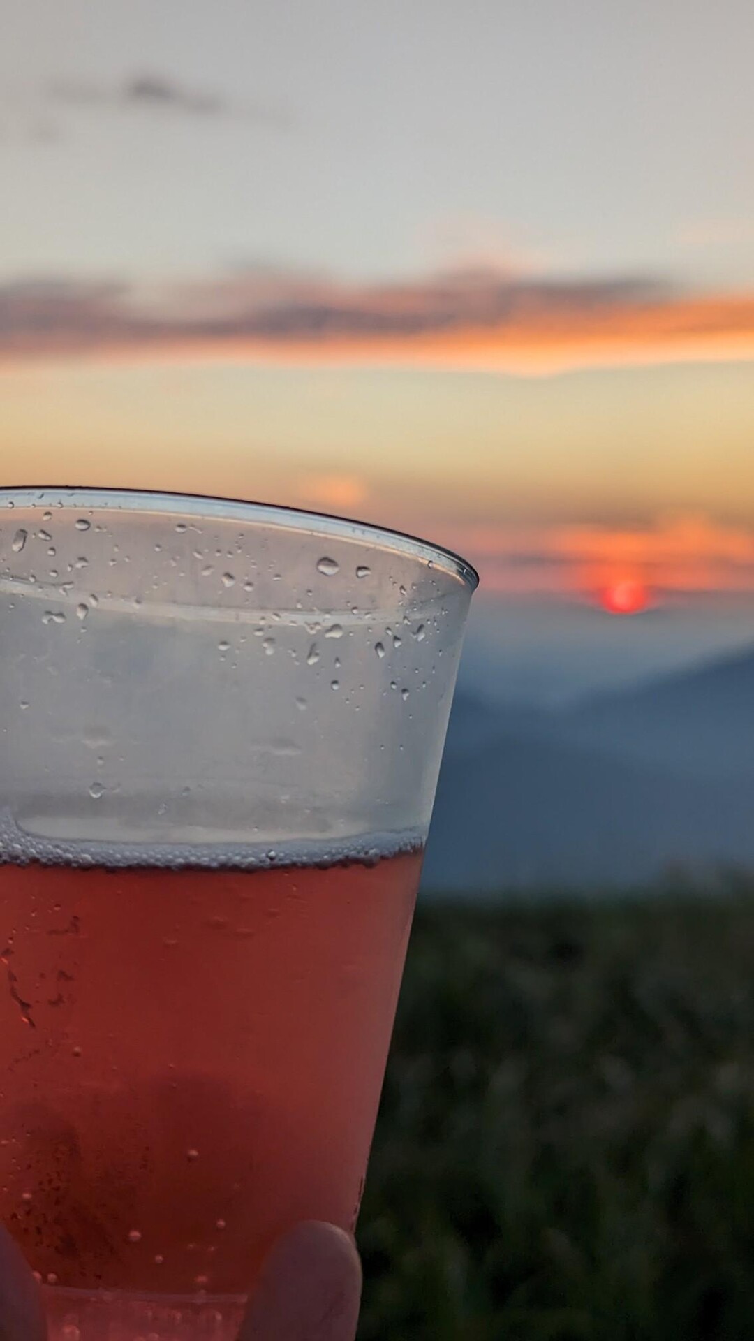 朝駆けの予定が・・・ / Chi-chanさんの天山の活動データ | YAMAP / ヤマップ