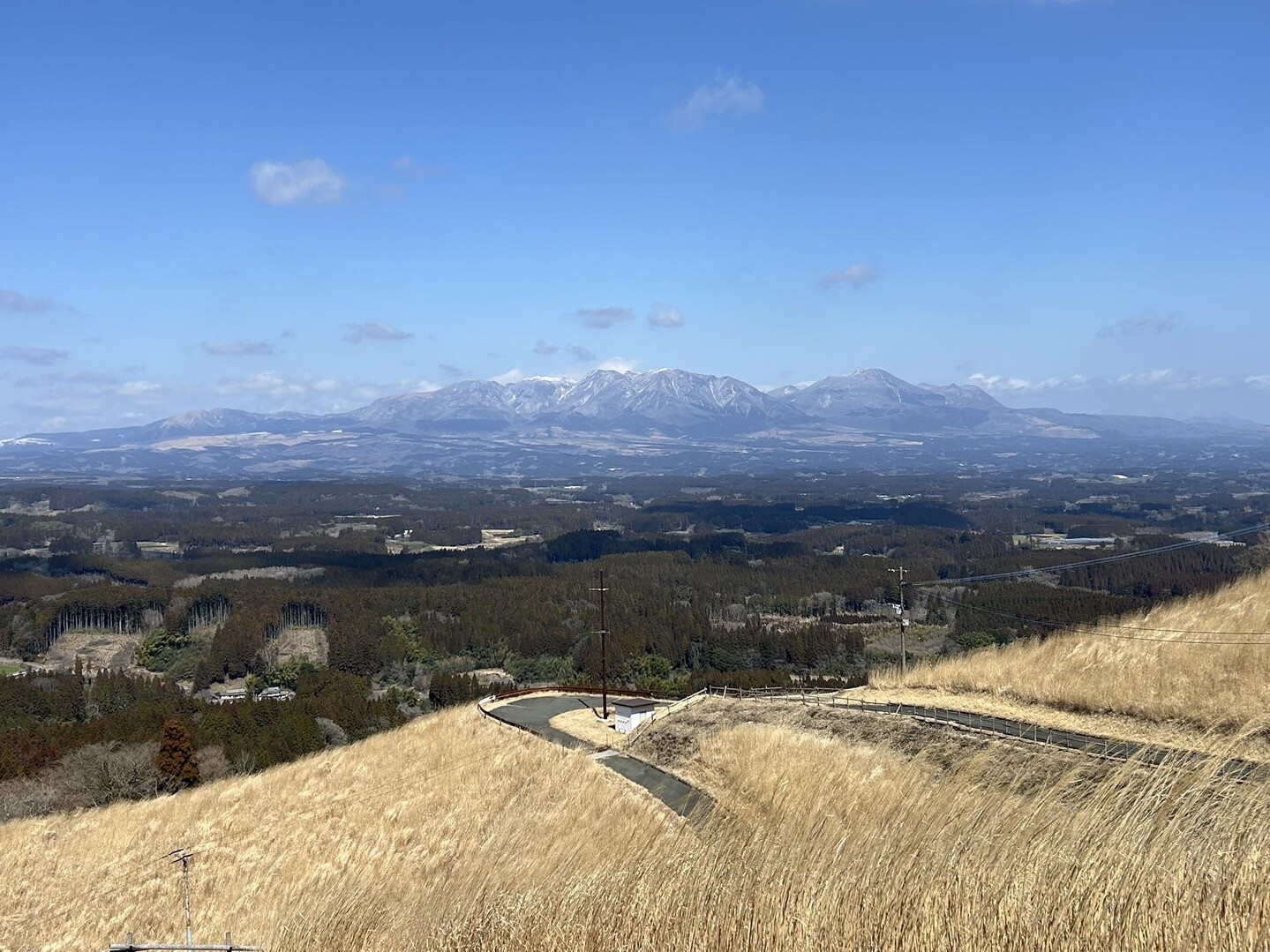 花探しの季節到来((´∀`*))荻岳 / datinさんの荻岳の活動データ | YAMAP / ヤマップ
