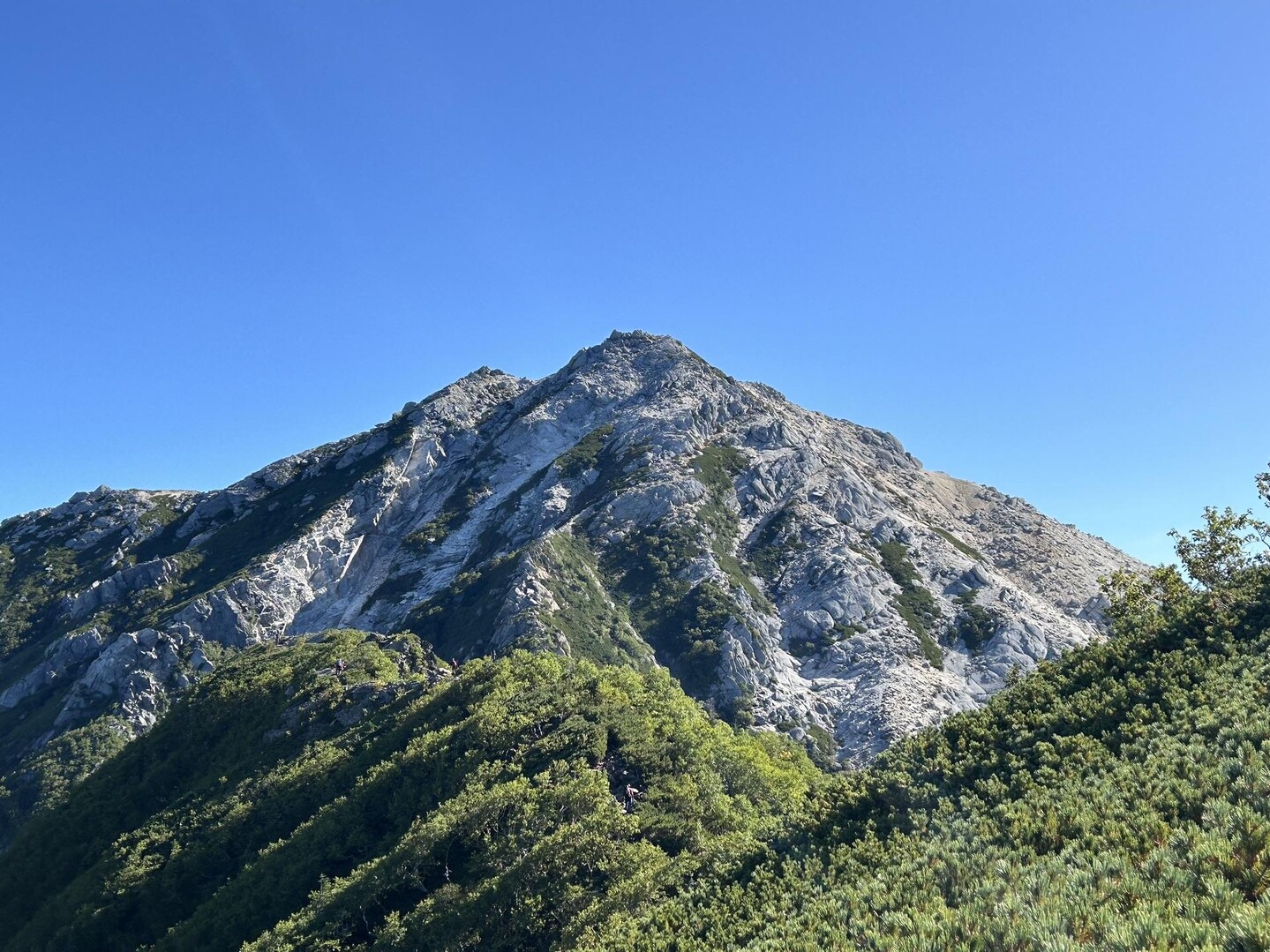 2024夏登山〆甲斐駒ヶ岳、北沢峠から日帰り / v-mix さんの甲斐駒ヶ岳・日向山の活動データ | YAMAP / ヤマップ