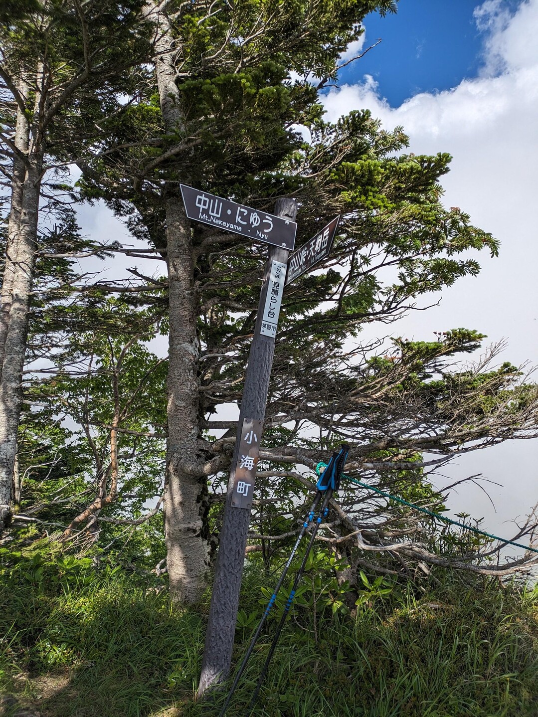 Hectorさんの投稿したフィールドメモ | YAMAP / ヤマップ