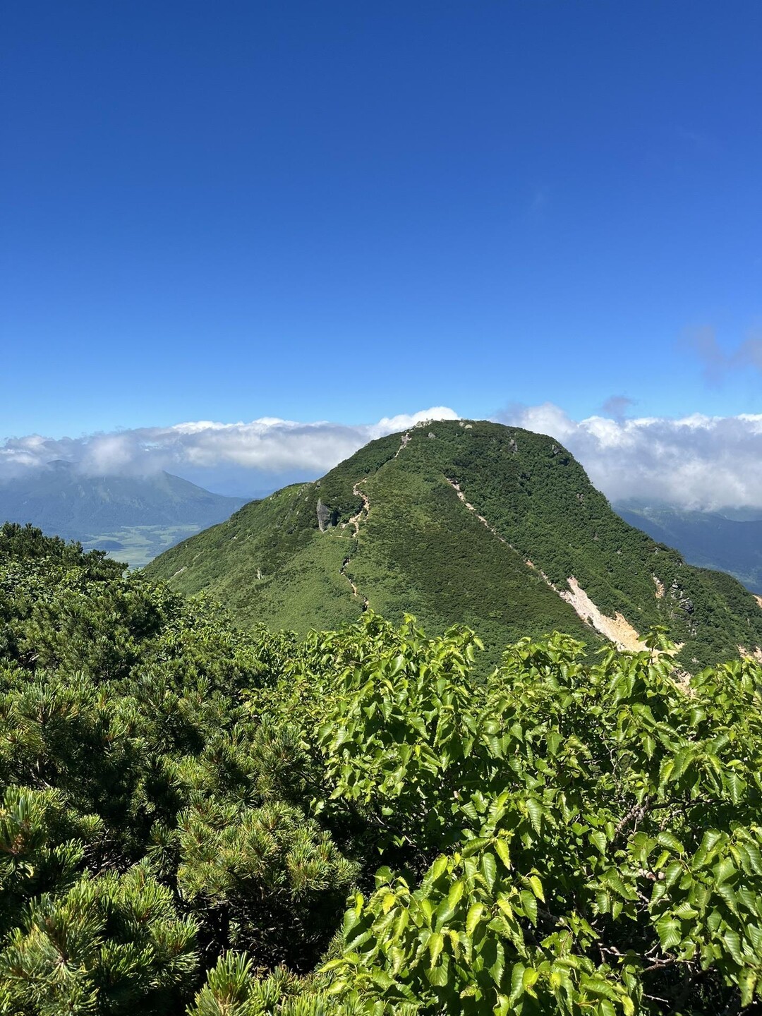完璧な晴天リベンジ俎嵓・燧ヶ岳（柴安嵓） / Minさんの尾瀬・燧ヶ岳の活動データ | YAMAP / ヤマップ