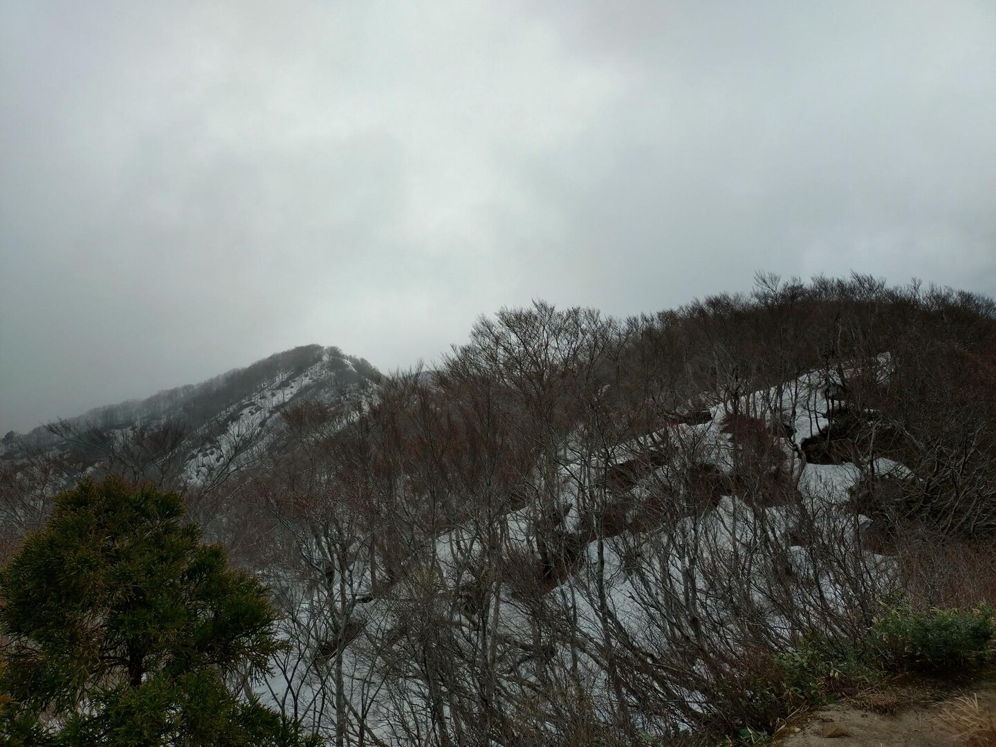 景色堪能出来ず… 五頭山 / ダイラさんの五頭山・菱ヶ岳・宝珠山の活動データ | YAMAP / ヤマップ