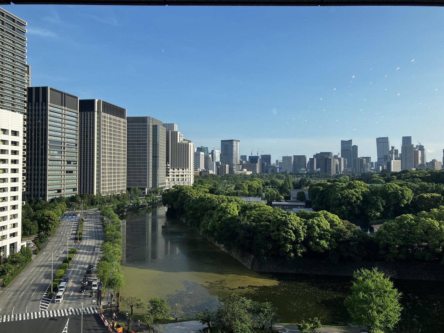 梅雨入り前の一時。 東京ブルー♪ / 727Kさんのモーメント | YAMAP / ヤマップ