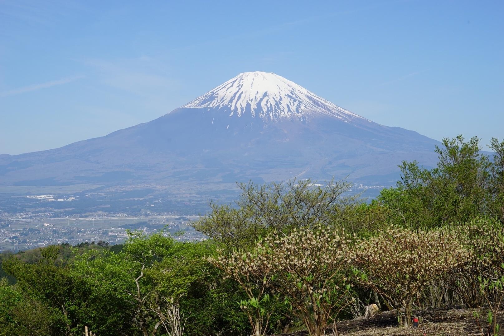 矢倉岳 / ShizCさんの矢倉岳の活動データ | YAMAP / ヤマップ