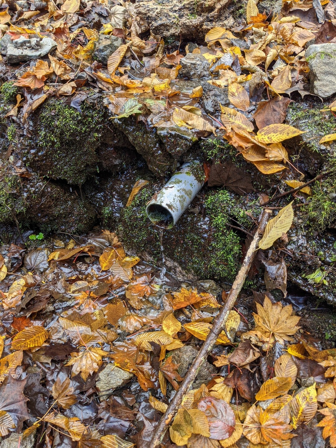 Okamonさんの投稿したフィールドメモ | YAMAP / ヤマップ