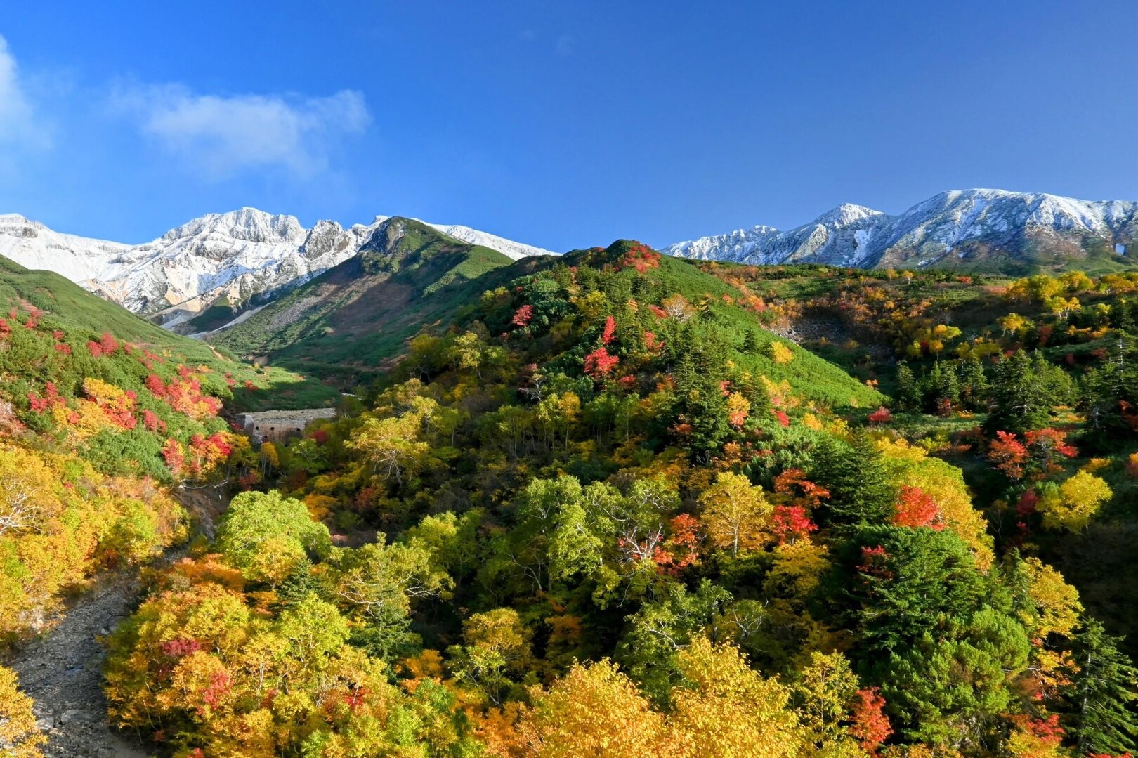 冠雪の十勝岳連峰🏔と紅葉🍁 / Chicoryさんの十勝岳・富良野岳・美瑛岳の活動日記 | YAMAP / ヤマップ