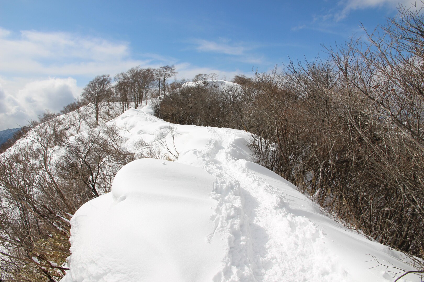 小貝月山・貝月山 / YYさんの貝月山の活動データ | YAMAP / ヤマップ