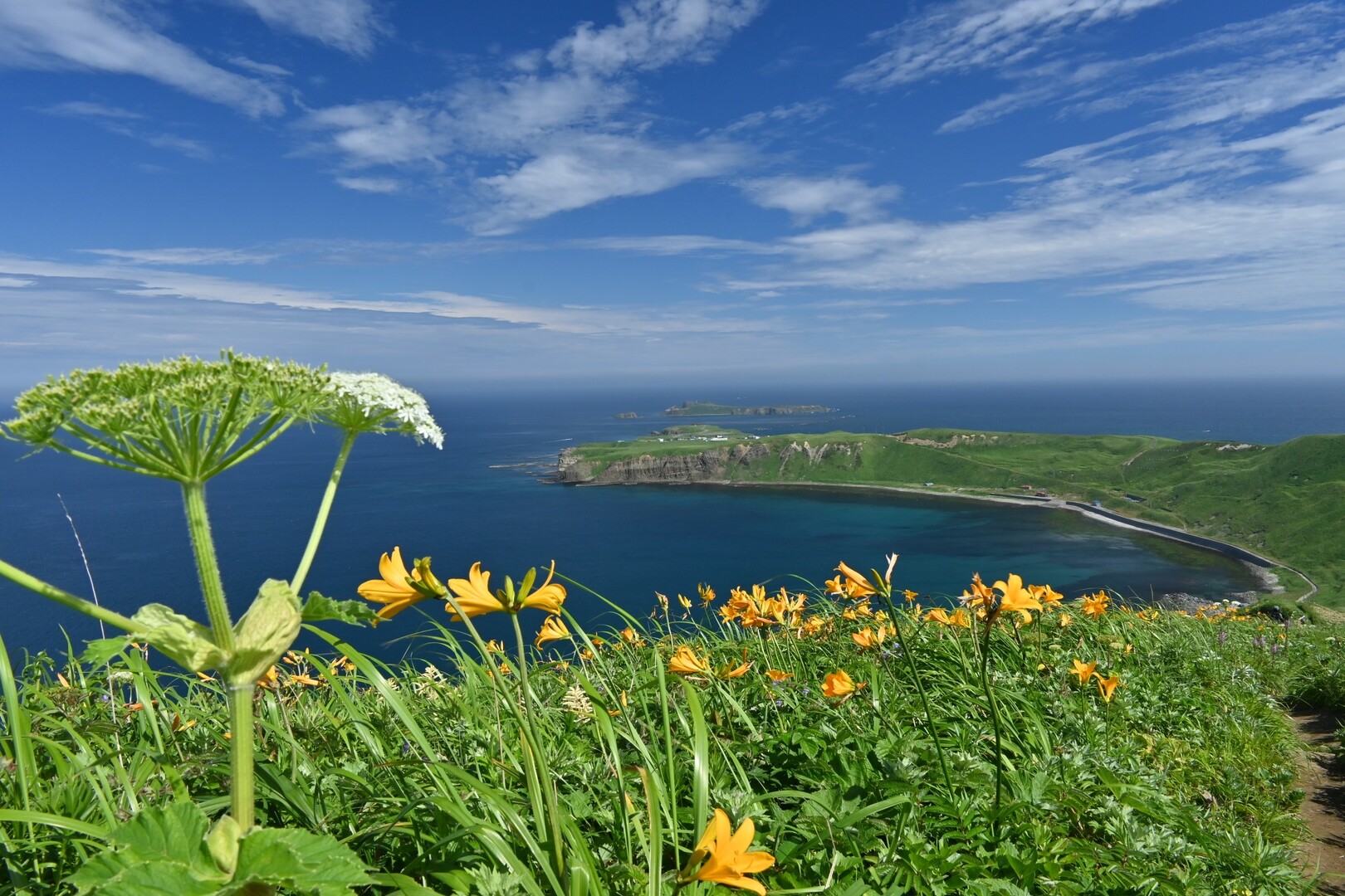 礼文物語②スコトン〜ゴロタ山 / Chicoryさんの礼文島の活動日記 | YAMAP / ヤマップ