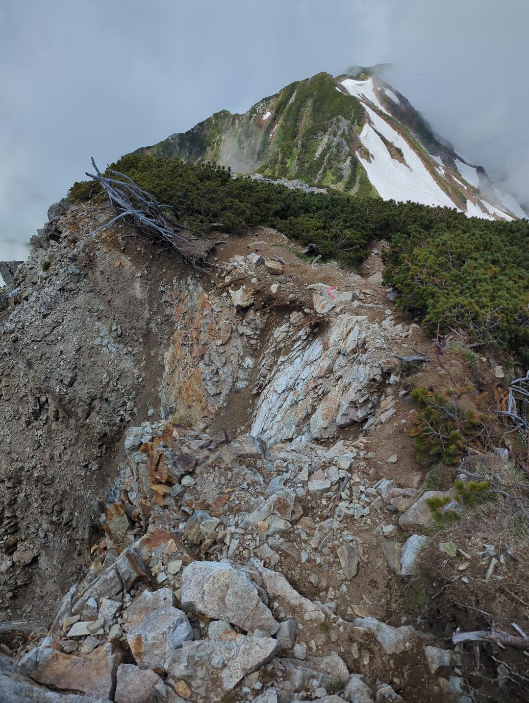 vizosoさんの投稿したフィールドメモ | YAMAP / ヤマップ