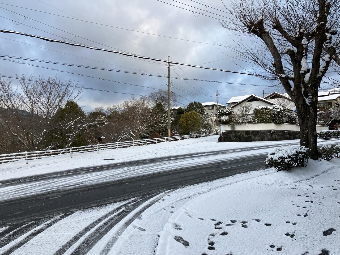 久々の積雪。2〜4cmほど。朝の気温はマ... / やぶちゃんさんのモーメント | YAMAP / ヤマップ