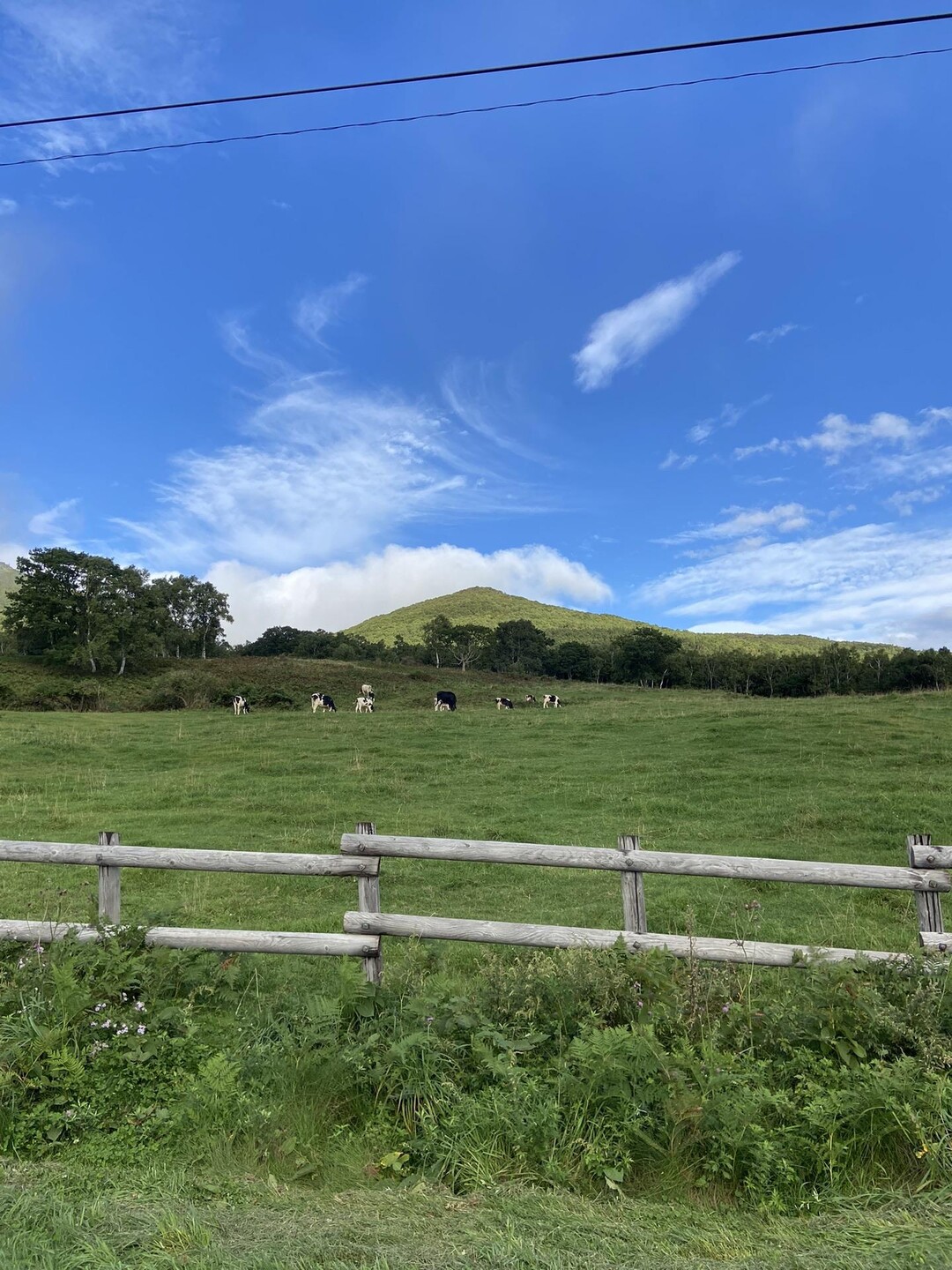 根子岳・四阿山・中四阿・小四阿 / Annさんの四阿山・根子岳の活動データ | YAMAP / ヤマップ