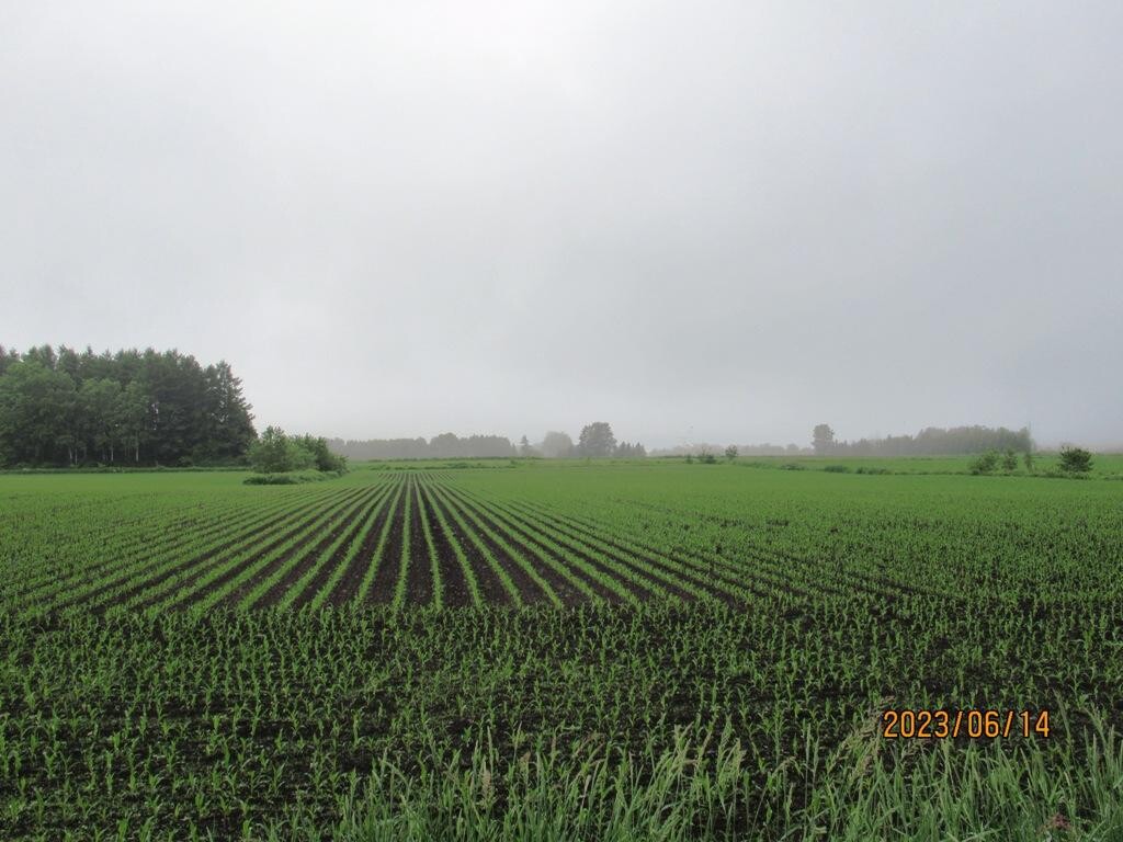 ランニング-2023-06-14 / miyaさんのランニングの活動データ | YAMAP / ヤマップ