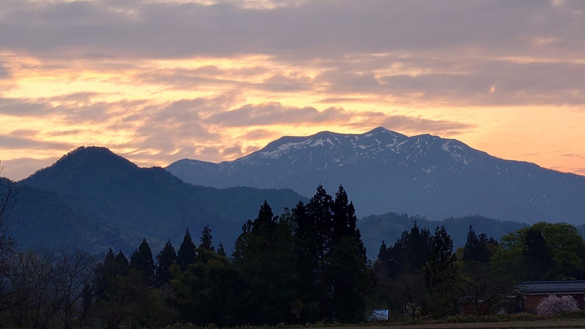 花と新緑を眺めに! 袴腰山〜粟ヶ岳 / N.O.R.さんの粟ヶ岳・權ノ神岳・宝蔵山の活動データ | YAMAP / ヤマップ
