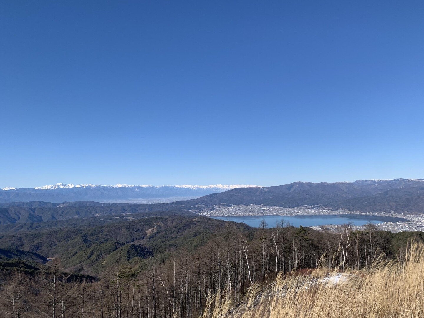 32回目の守屋山 / jucca🍎さんの守屋山の活動データ | YAMAP / ヤマップ