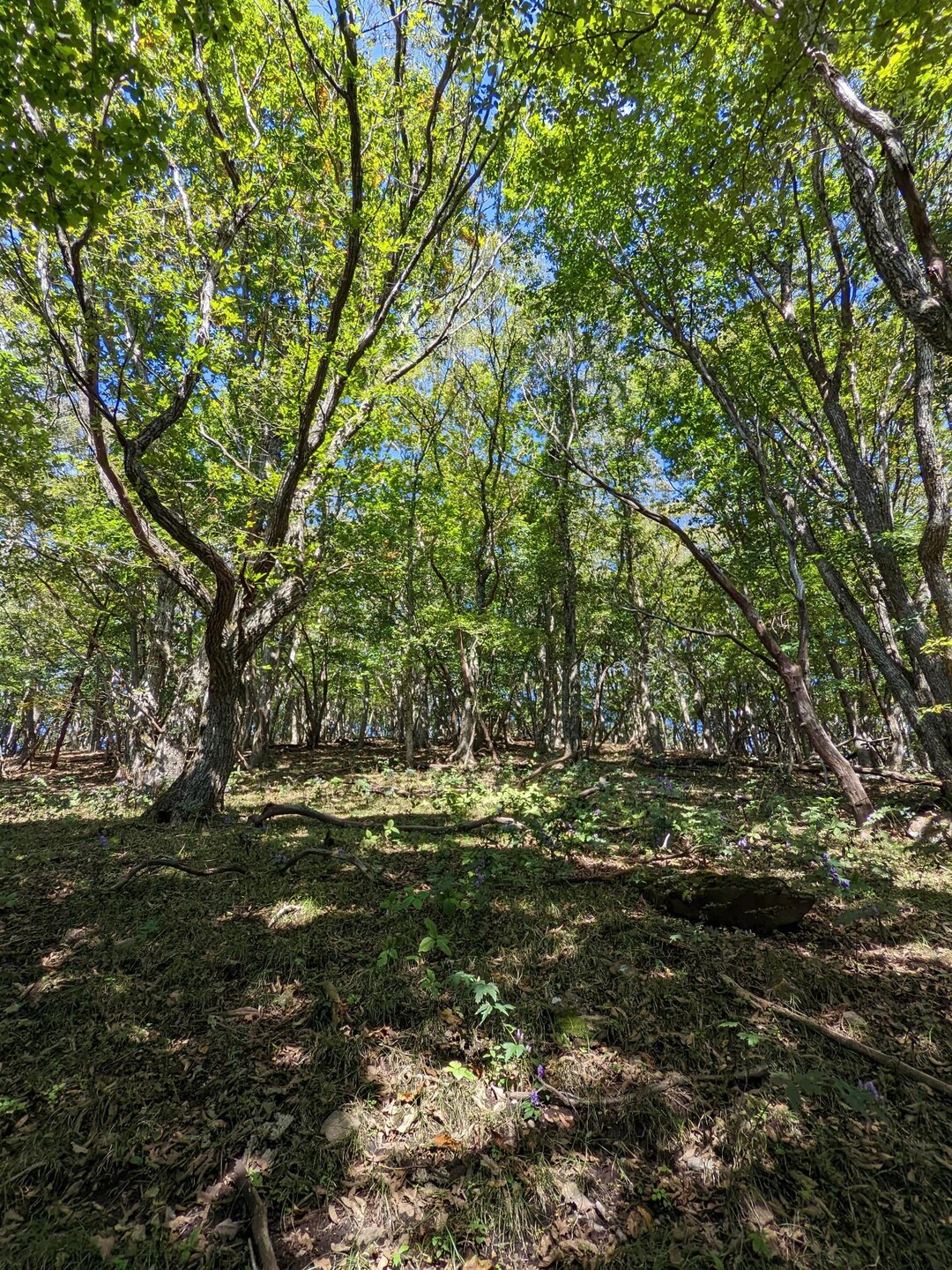 tkhsさんの投稿したフィールドメモ | YAMAP / ヤマップ