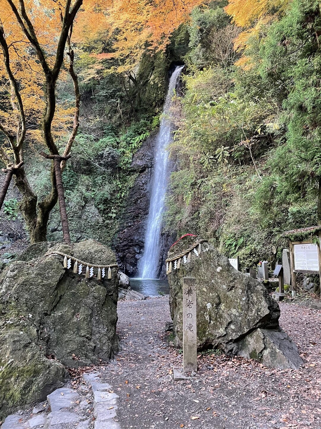 三方山・小倉山・養老山・北尾根P826峰・笙ヶ岳・笙ヶ岳（東峰）・裏山・行平山・表山 / しんのすけさんの養老山・笙ヶ岳・三方山の活動データ | YAMAP / ヤマップ