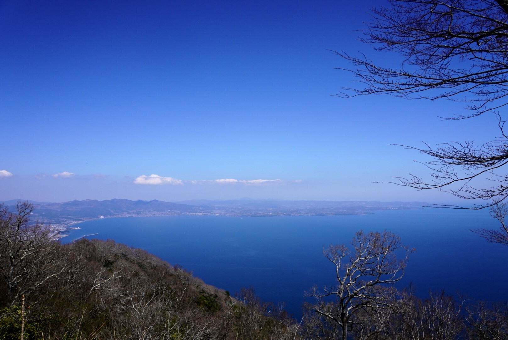 高崎山 / natyuさんの高崎山の活動データ | YAMAP / ヤマップ