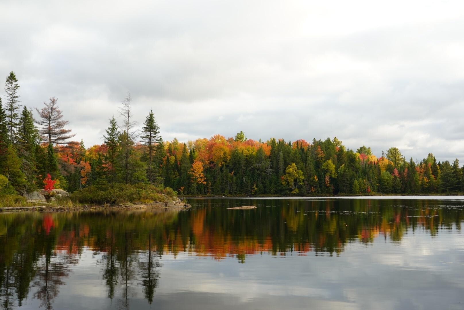 Peck Lake（アルゴンキン州立公園🇨🇦カナダ） / Tomy さんのウォーキングの活動データ | YAMAP / ヤマップ