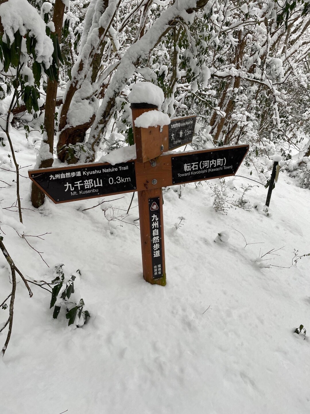 九千部山 / 130Kさんの天拝山・基山の活動日記 | YAMAP / ヤマップ