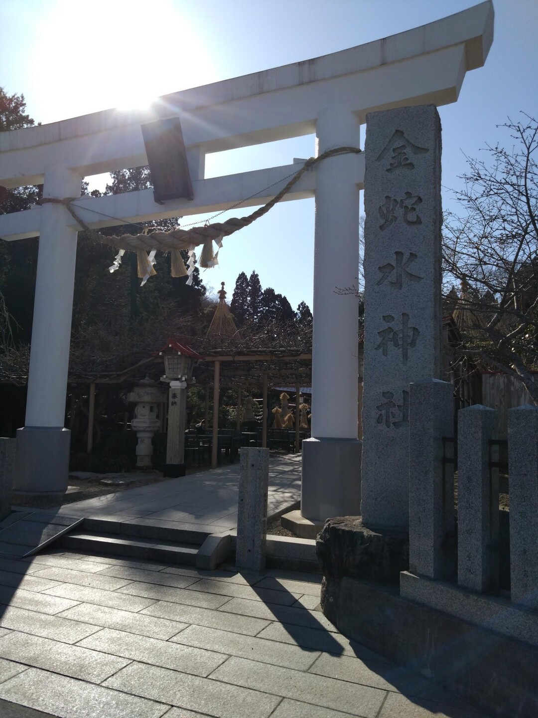 今月も金蛇水神社に行ってきました🐍 先... / ma-mamaさんのモーメント | YAMAP / ヤマップ