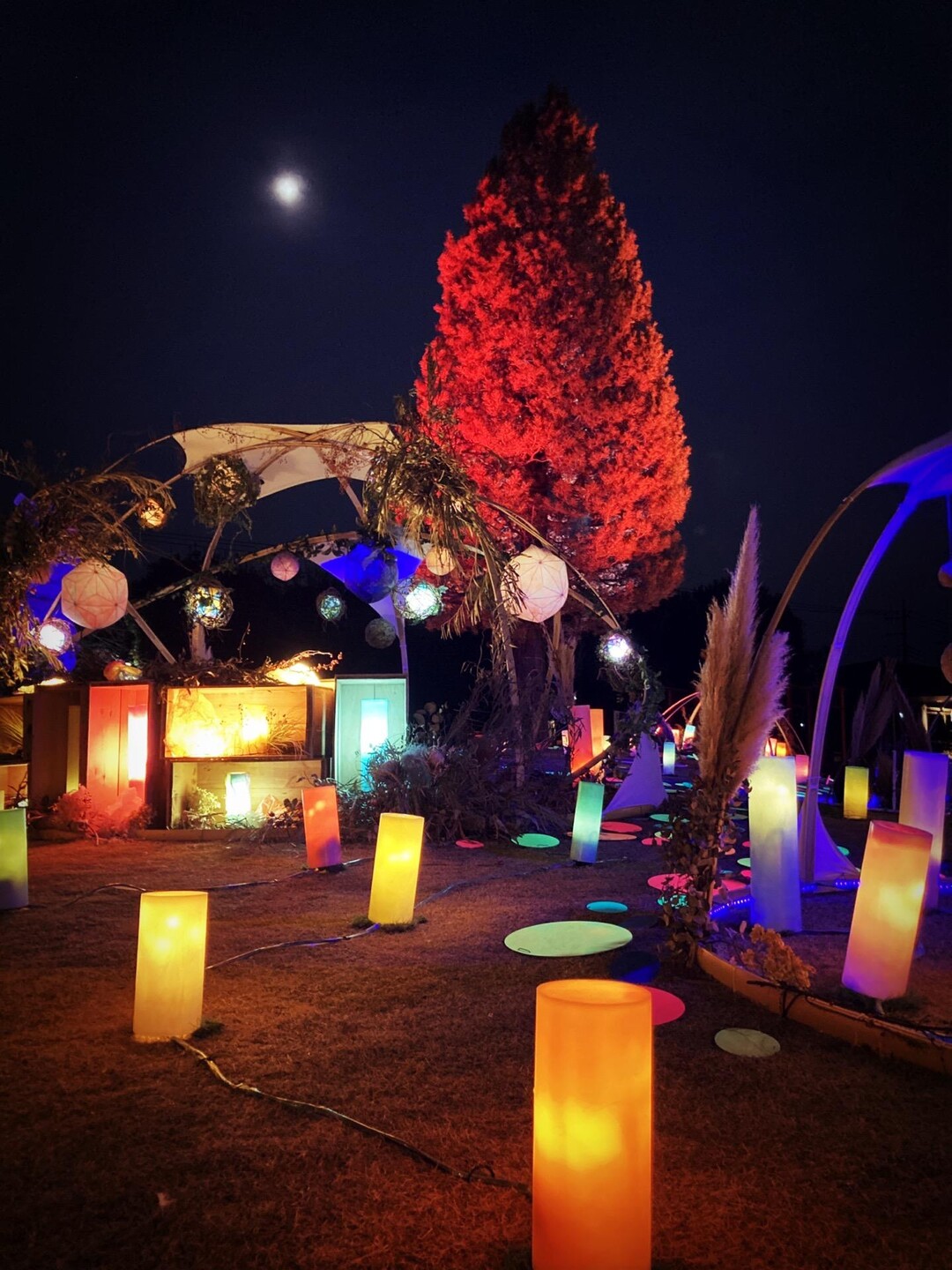 happy 13の金曜日🎄 所沢サクラ... / koitakaさんのモーメント | YAMAP / ヤマップ