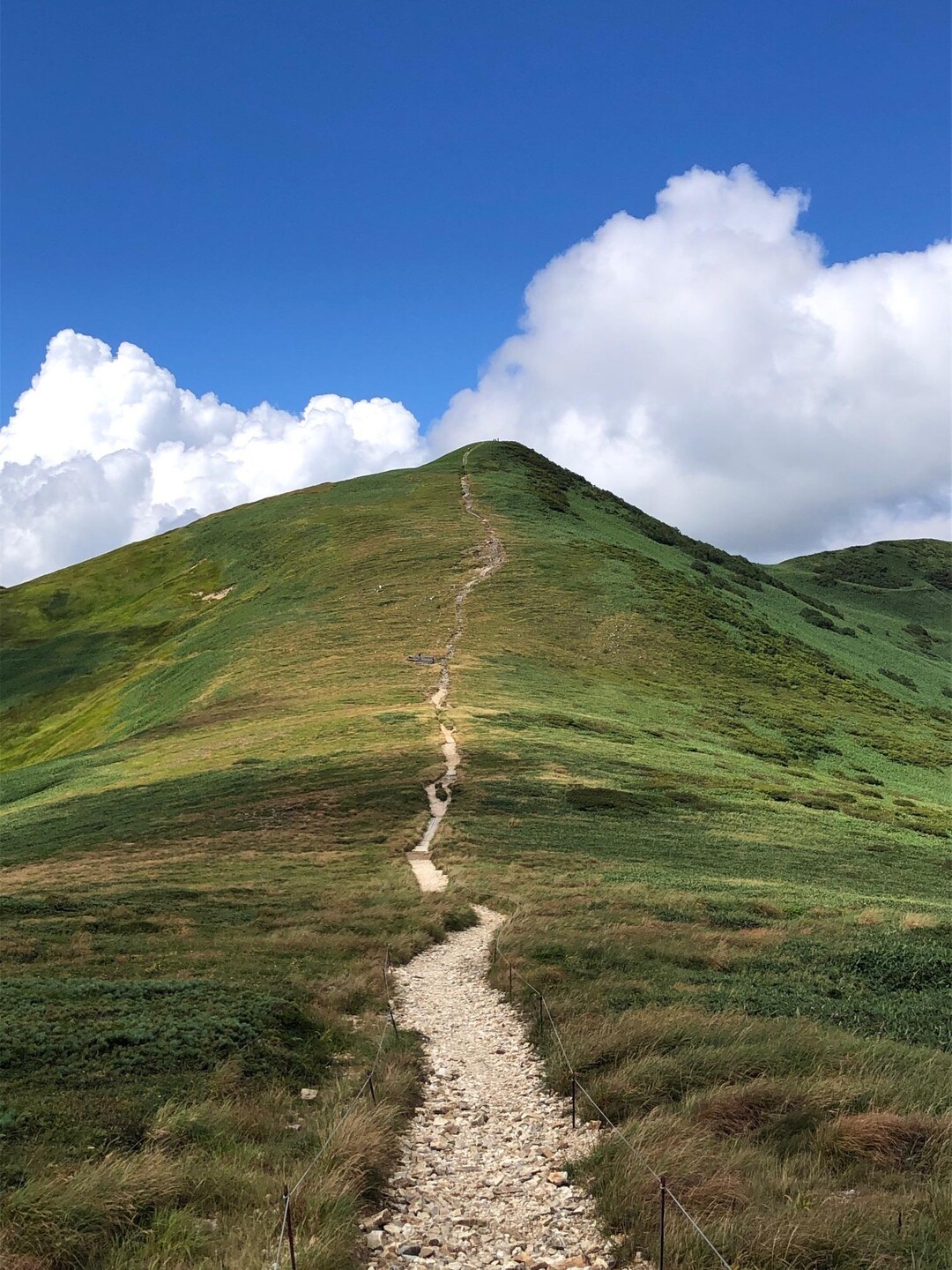松手山・平標山・前仙ノ倉山・仙ノ倉山 / MADカプセルさんの仙ノ倉山・平標山・大源太山の活動データ | YAMAP / ヤマップ