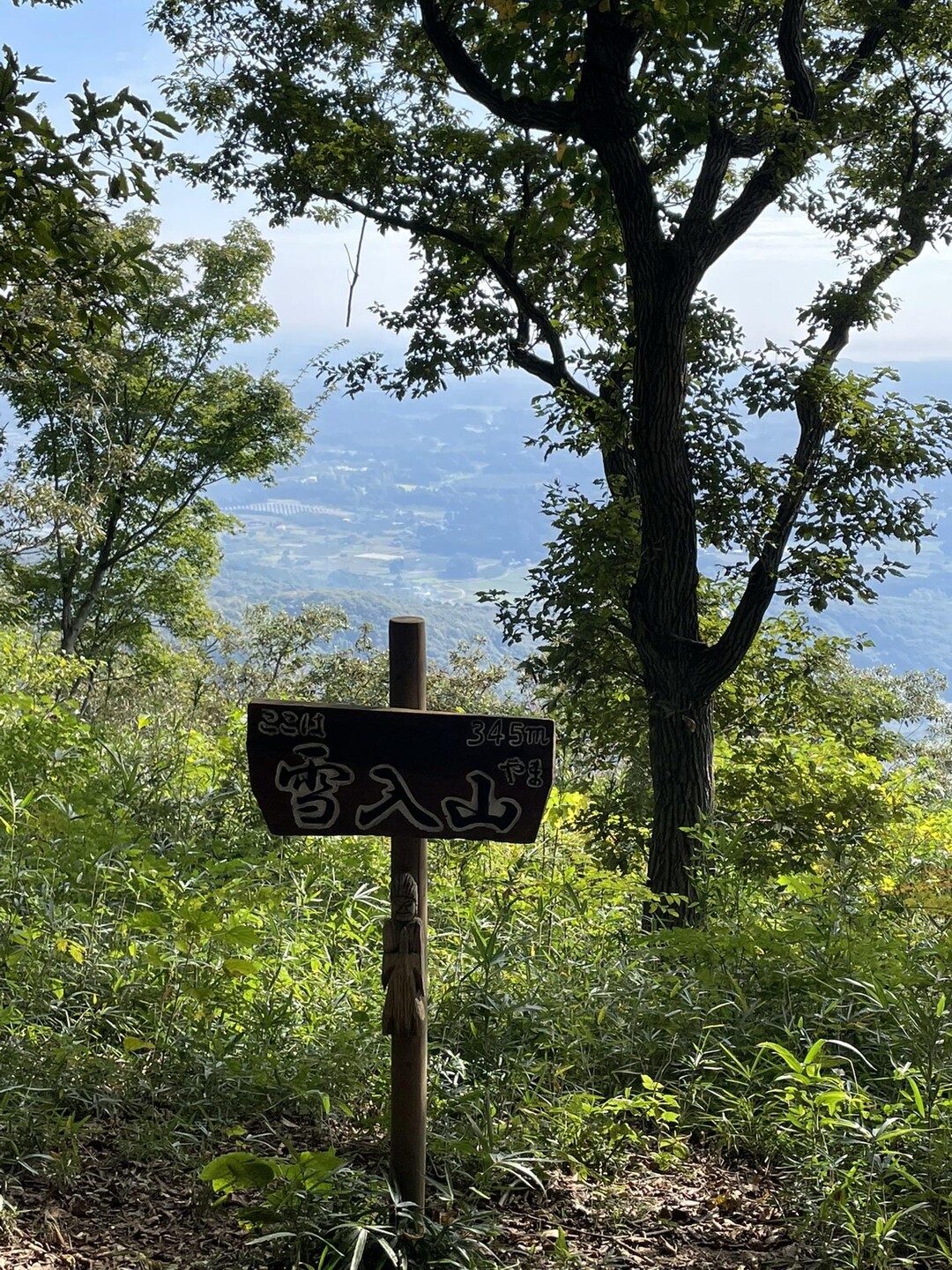 初 雪入山〜浅間山⛰ / RUmama🍃さんの登山の活動データ | YAMAP / ヤマップ