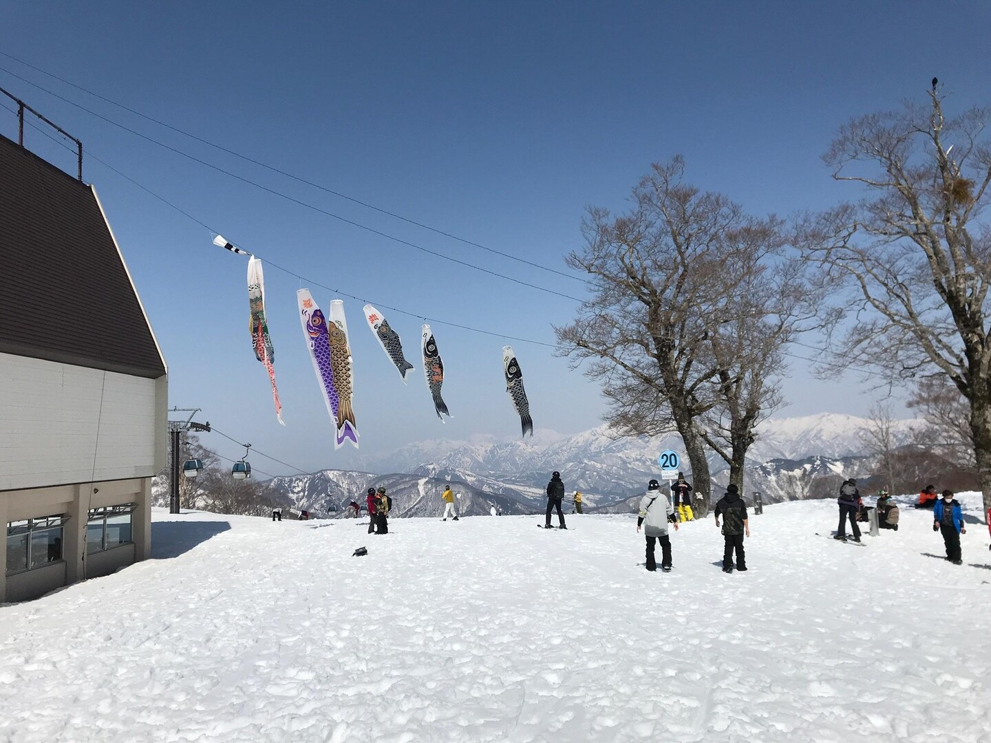 ٩( 'ω' )وかぐらスキー場-BC4 / HEY☆POさんのかぐらスキー場の活動データ | YAMAP / ヤマップ