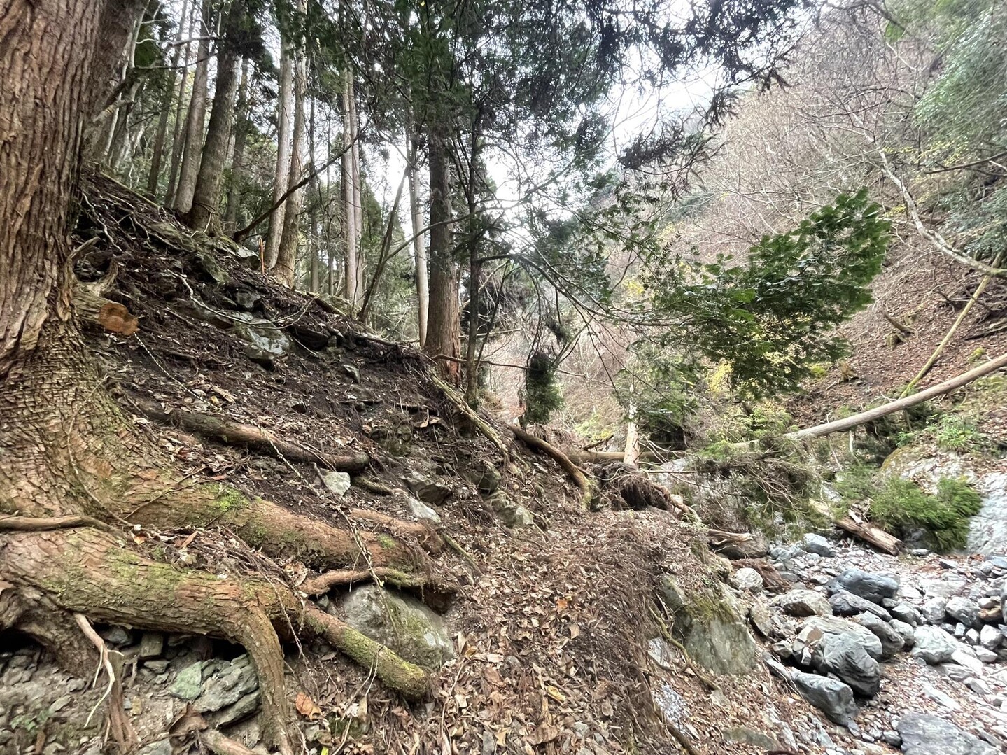 Nockyさんの投稿したフィールドメモ | YAMAP / ヤマップ