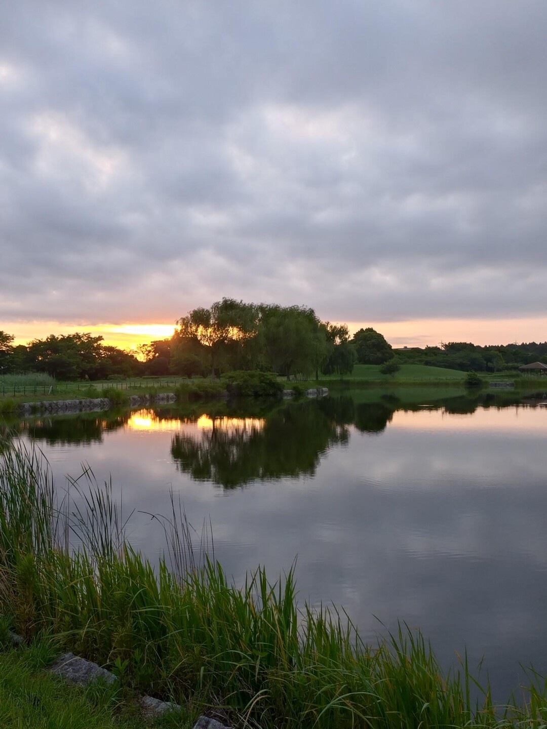 鶴沼山 6/13 / toshiさんの霞ヶ浦の活動データ | YAMAP / ヤマップ