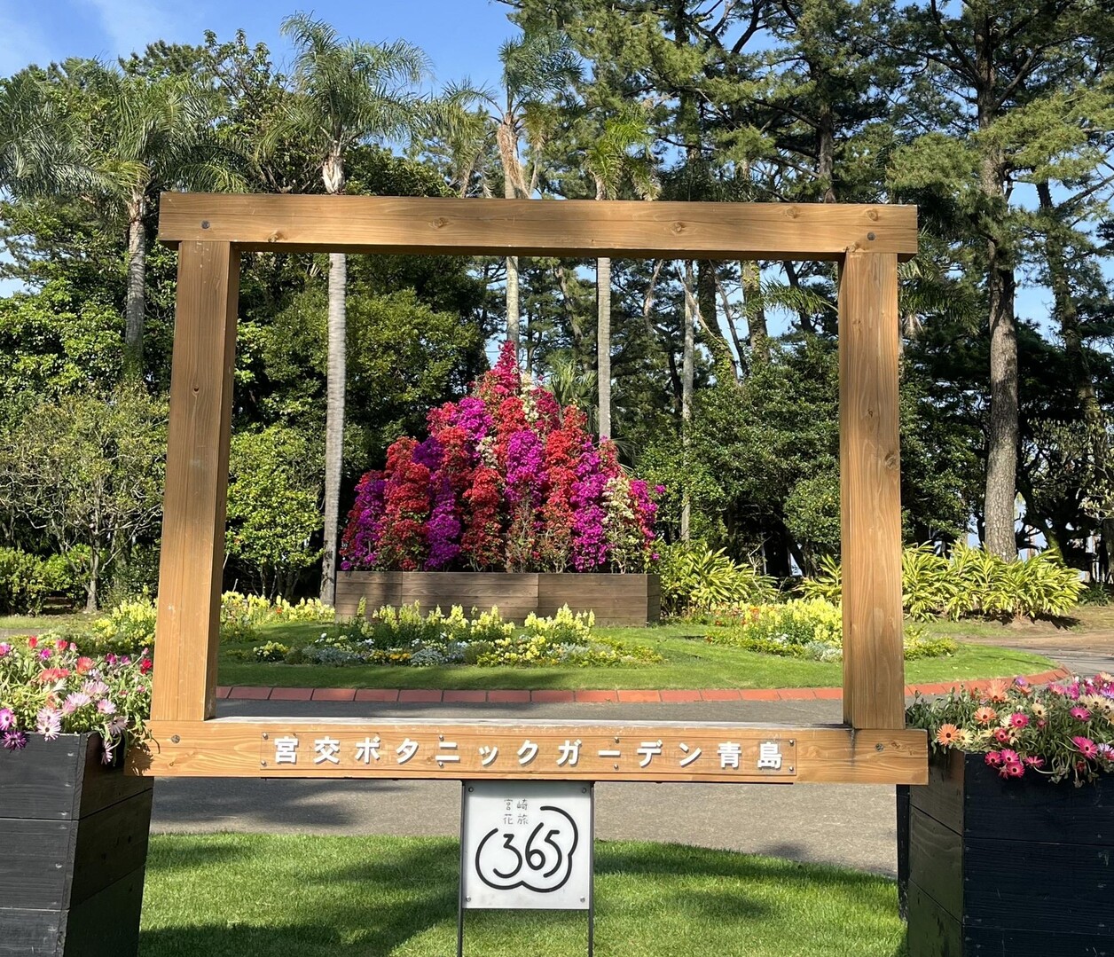 ランニング-2024-04-09 / MADさんのランニングの活動日記 | YAMAP / ヤマップ