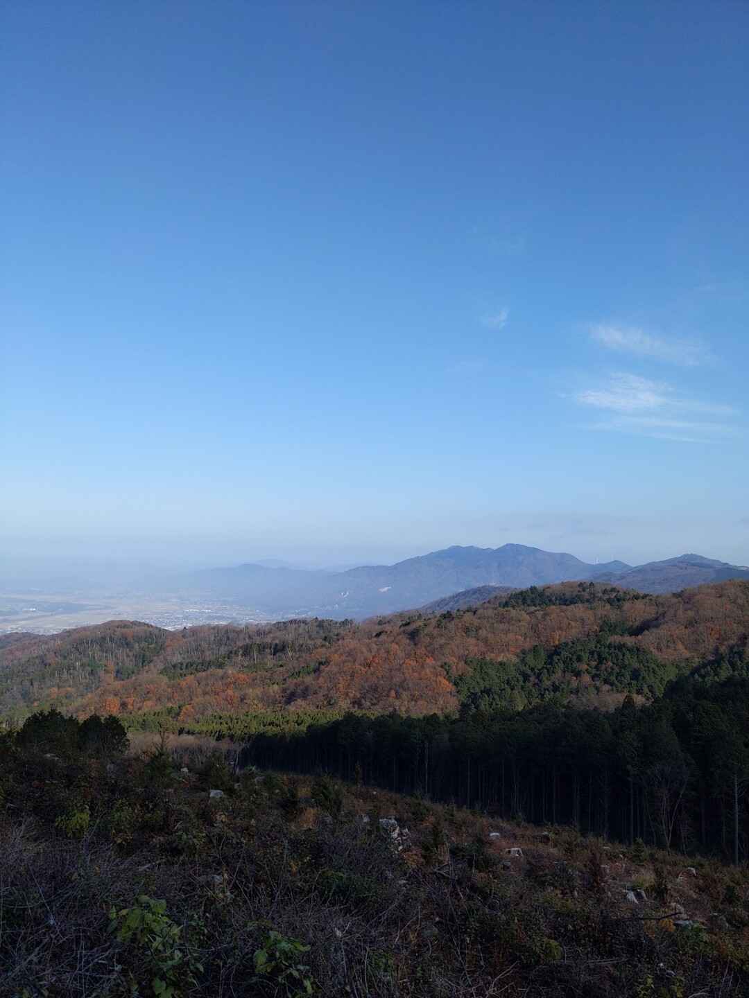 tosiさんの投稿したフィールドメモ | YAMAP / ヤマップ