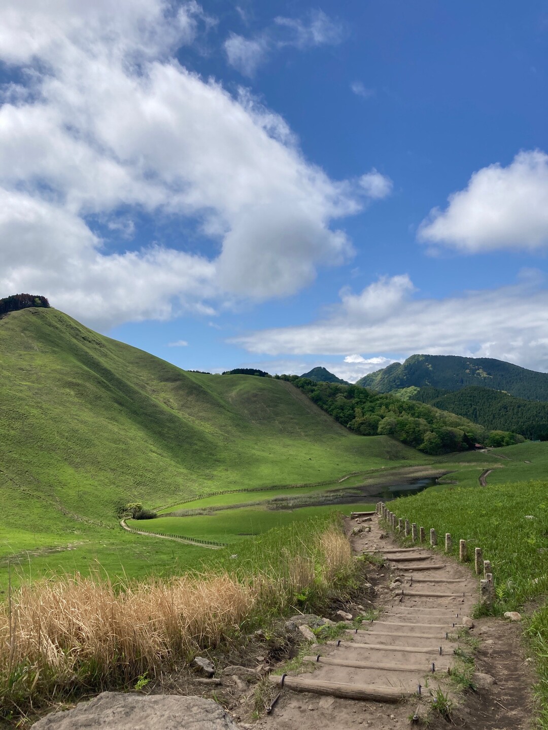 亀山・二本ボソ / Tigerさんの倶留尊山・曽爾高原・古光山の活動データ | YAMAP / ヤマップ