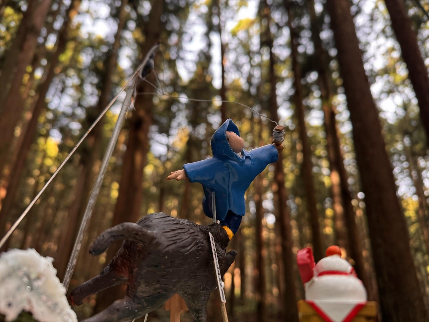 弥彦山 / Y-MANさんの弥彦山・多宝山・雨乞山の活動データ | YAMAP / ヤマップ